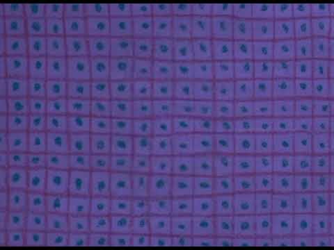 Arthur Credits (Textless and Instrumental) - YouTube