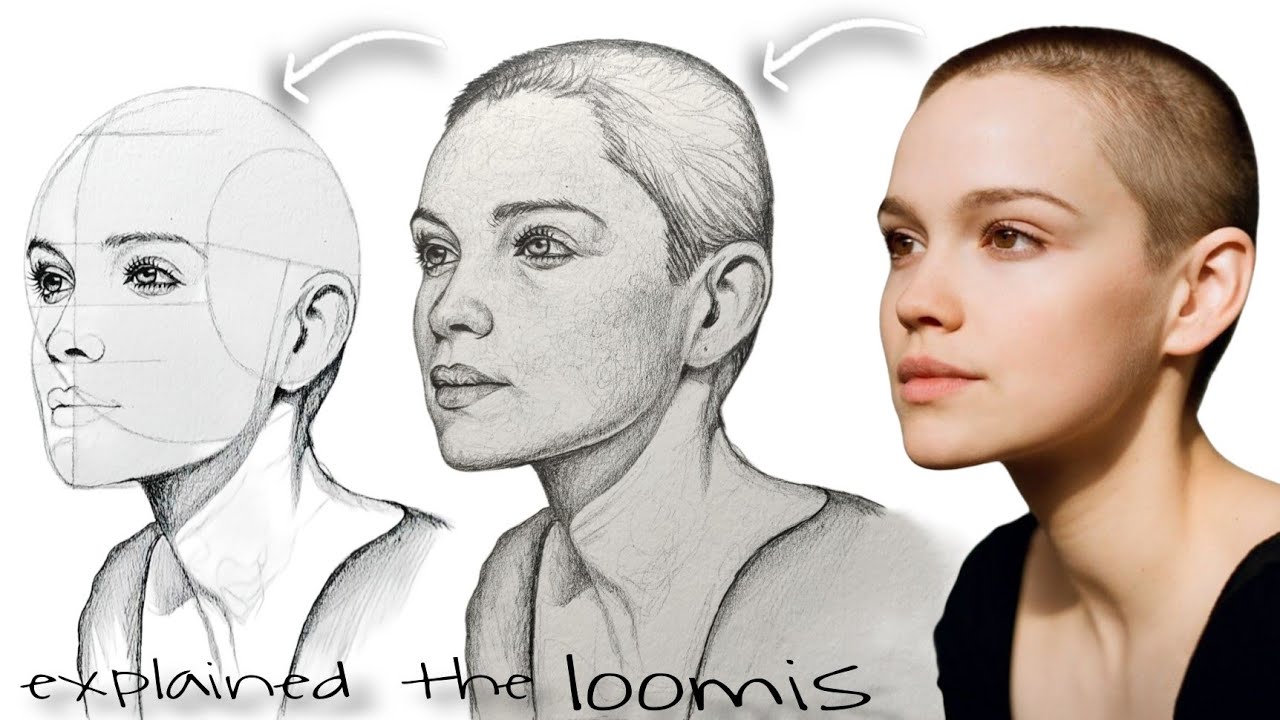 Learn the Pro Secrets of Drawing Portraits Faces Using Loomis Method ...