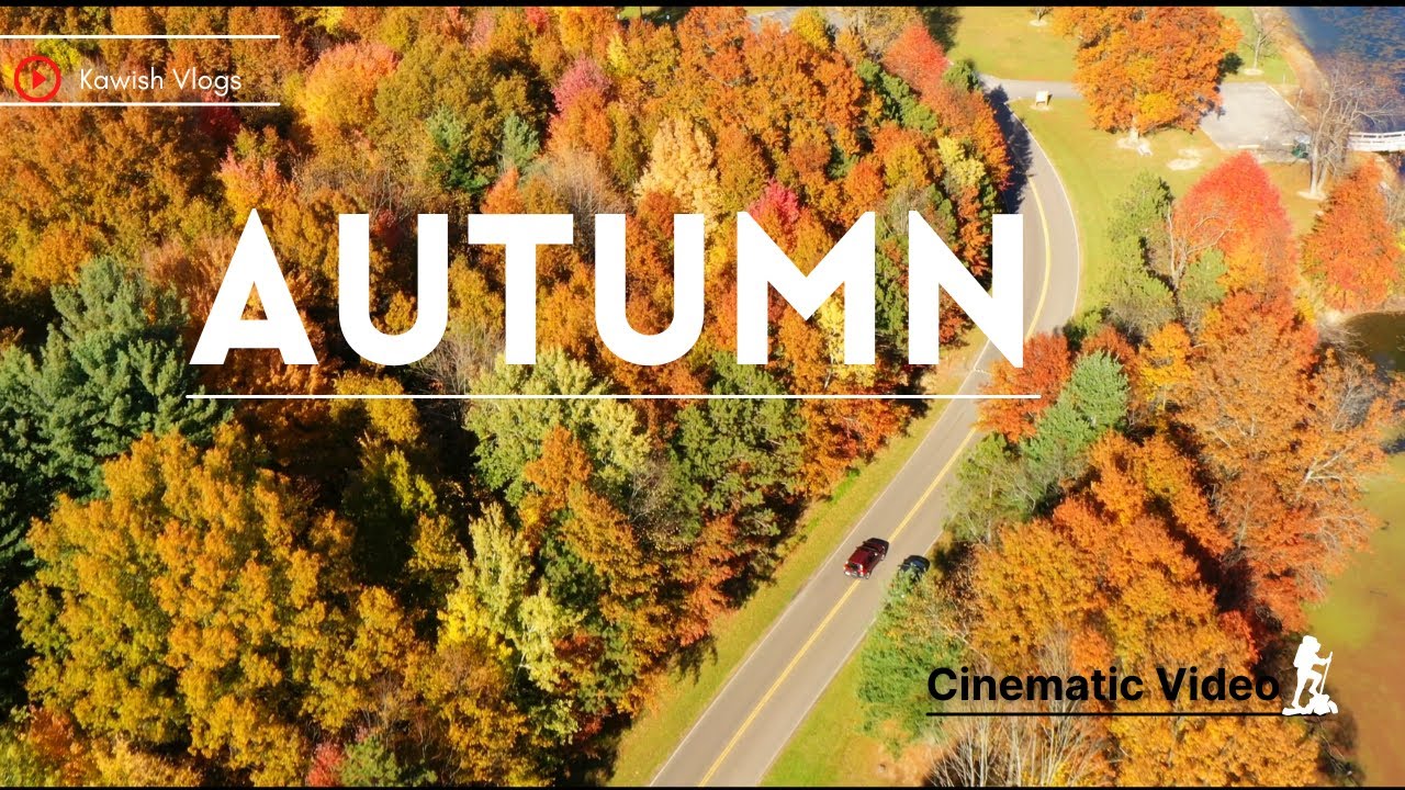 Fall Colors 🍂 in USA | Best Fall Foliage 🍁|Cinematic Video - YouTube