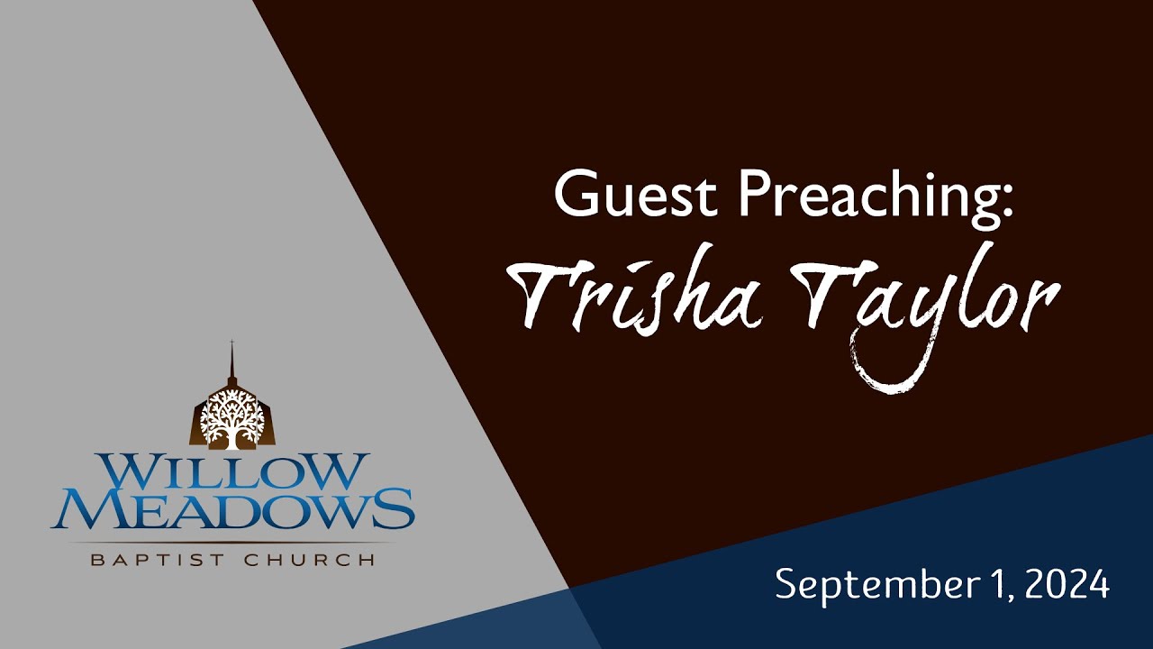 How do we find unity despite our differences? Trisha Taylor is our ...