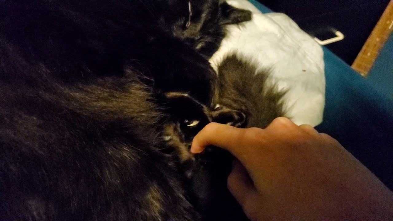 The yawn button. - YouTube