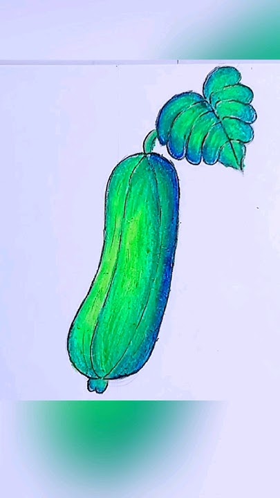 How to draw cucumber step by step (very easy) || Easy vegetable drawing ...