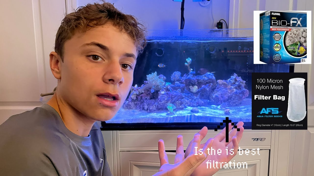 Reef tank - filtration guide for beginners! - YouTube