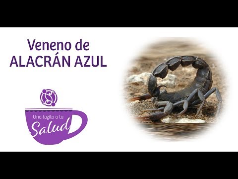 Veneno de alacrán azul - YouTube