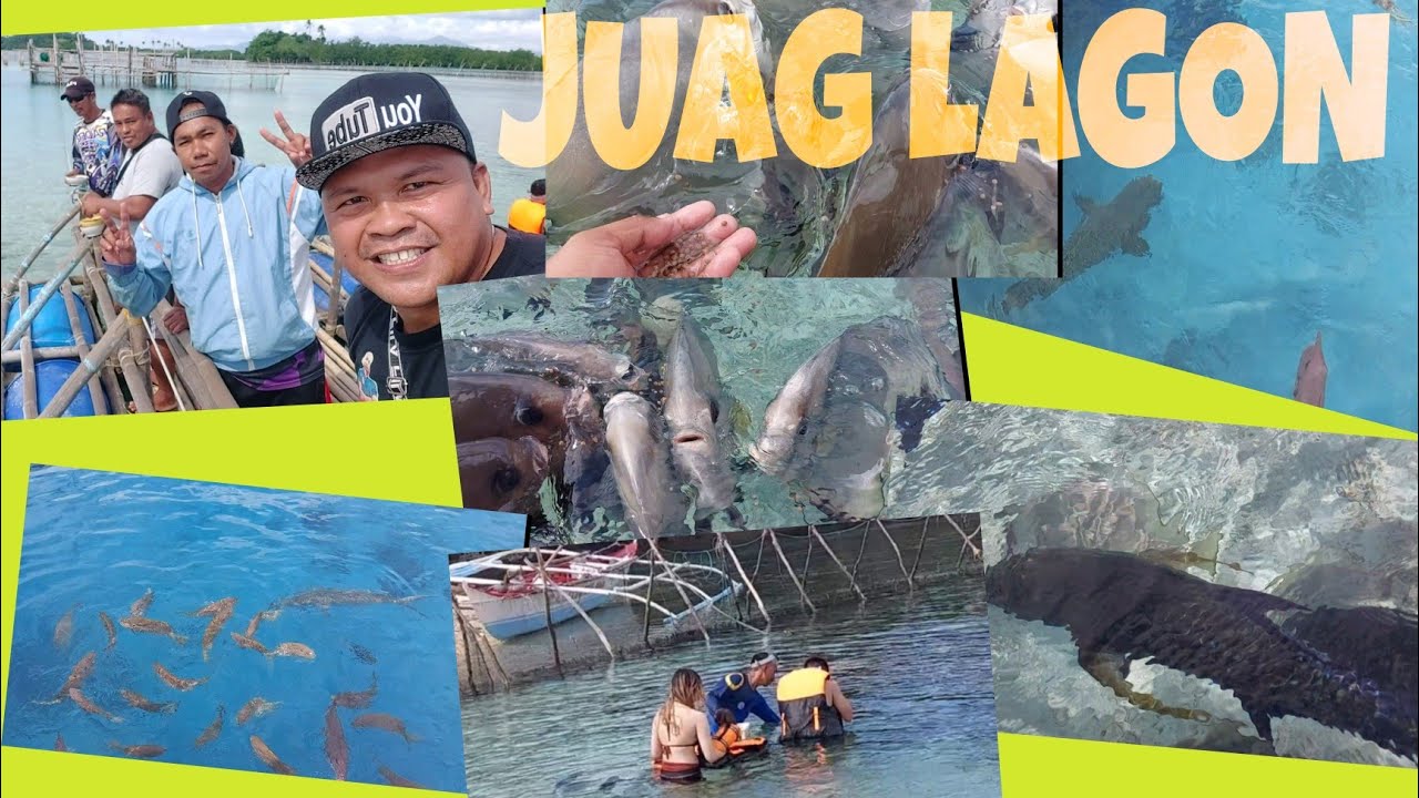 PINAKA MAHAL NA ISDA AY NASA JUAG LAGON 😱 ANU ITO?AT IBAT IBANG ISDA ...