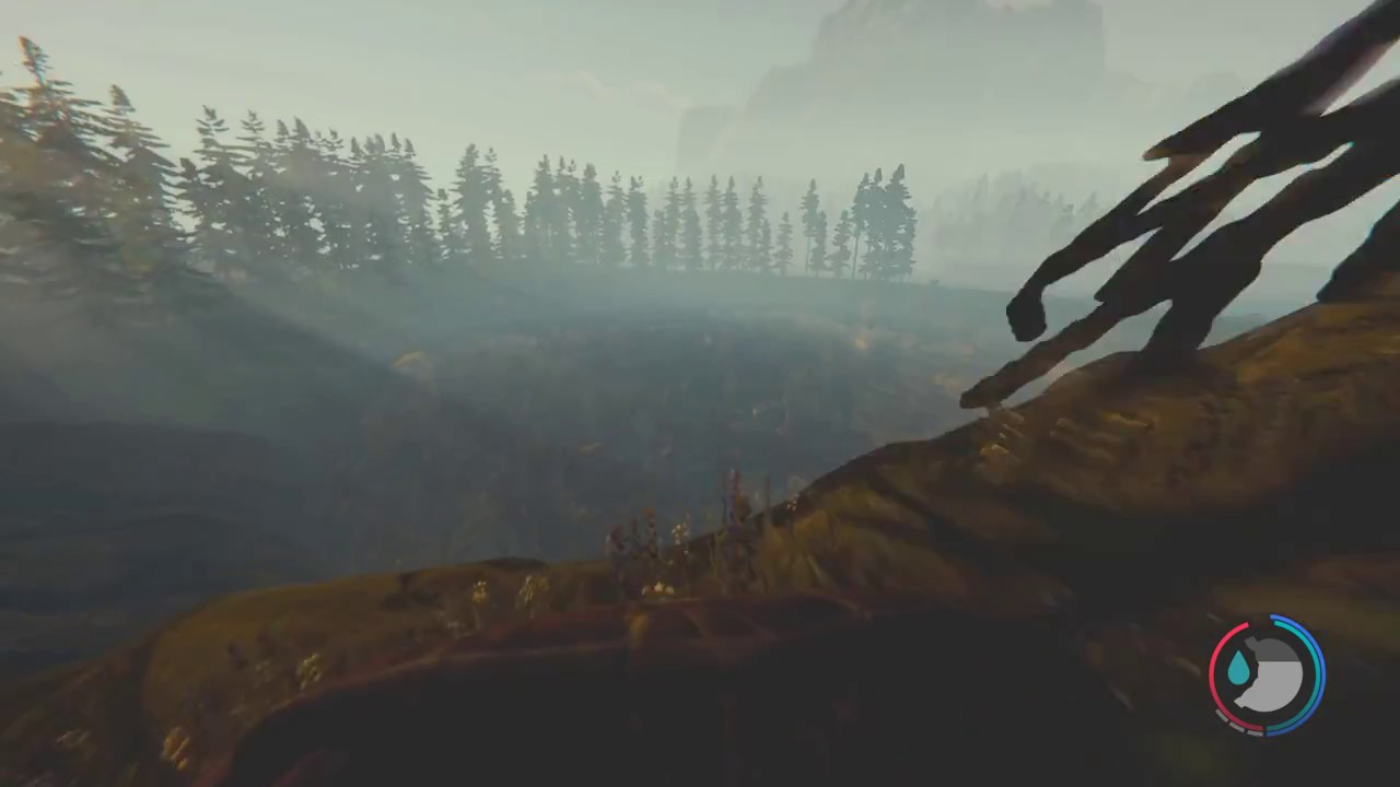 Turtle Shell Sledding - The Forest - YouTube