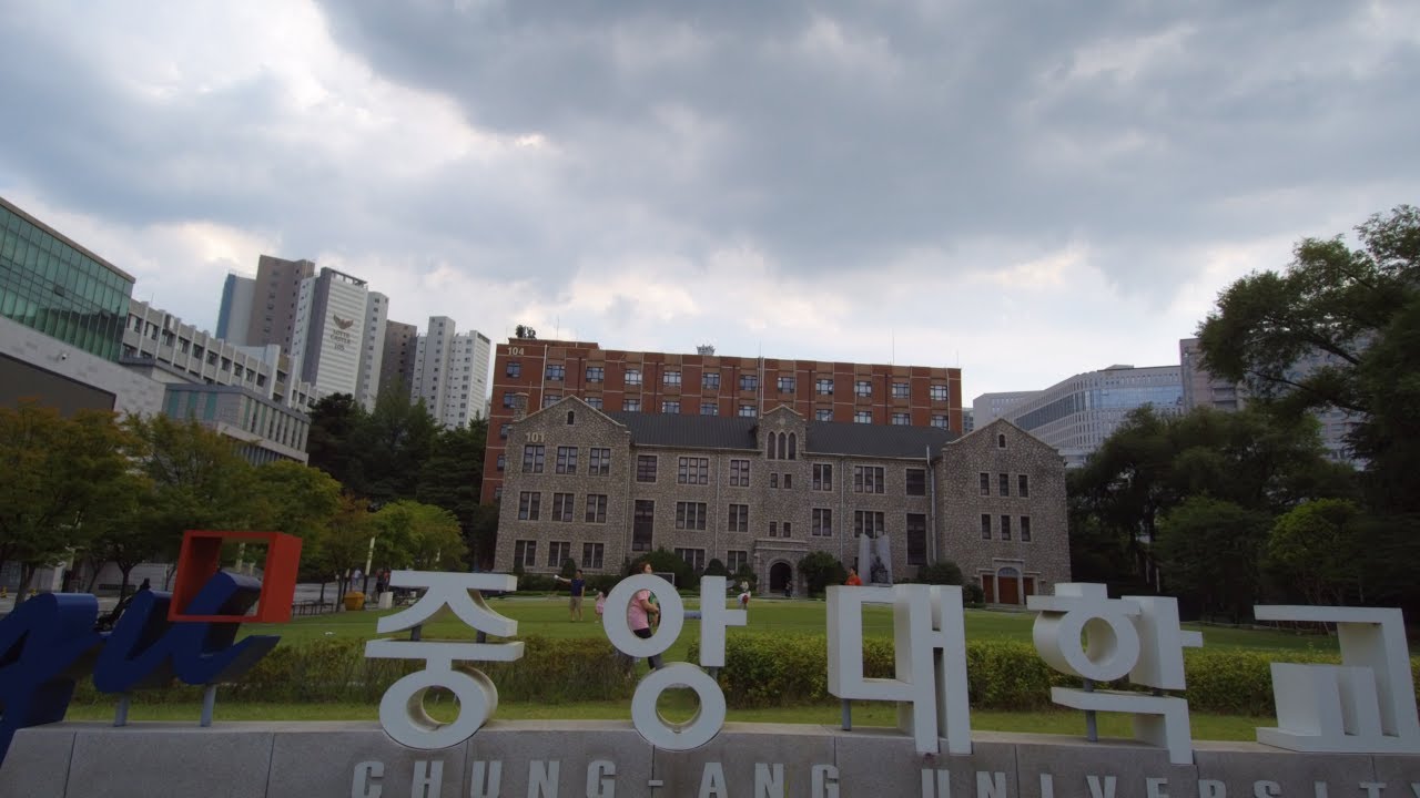 Chung Ang University Hospital,Chung-Ang University,중앙대병원,중앙대,SEOUL ...