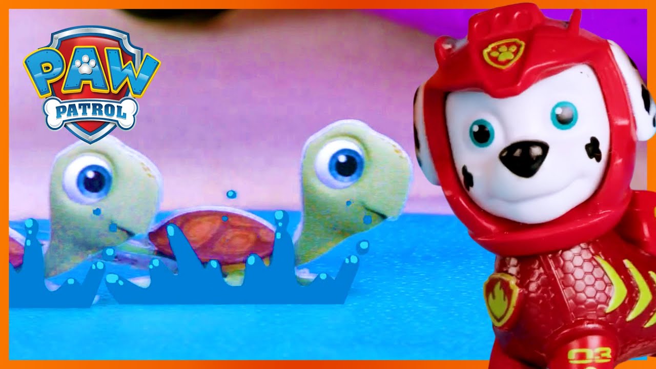 Aqua Pups Help Baby Turtles 🐢 - PAW Patrol - Toy Play for Kids - YouTube
