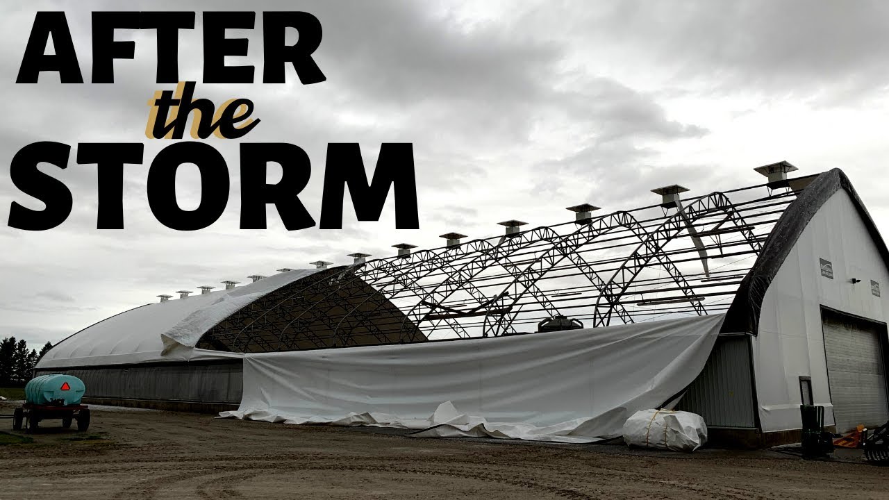 Things just got worse. (MORE WIND DAMAGE TO THE SHEEP BARN): Vlog 183 ...