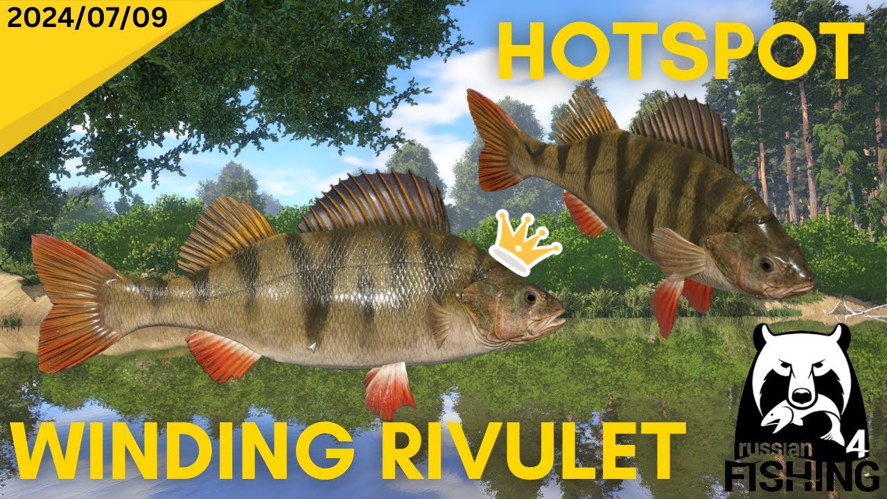 Perch Hotspot Winding Rivulet Russian Fishing 4 - YouTube