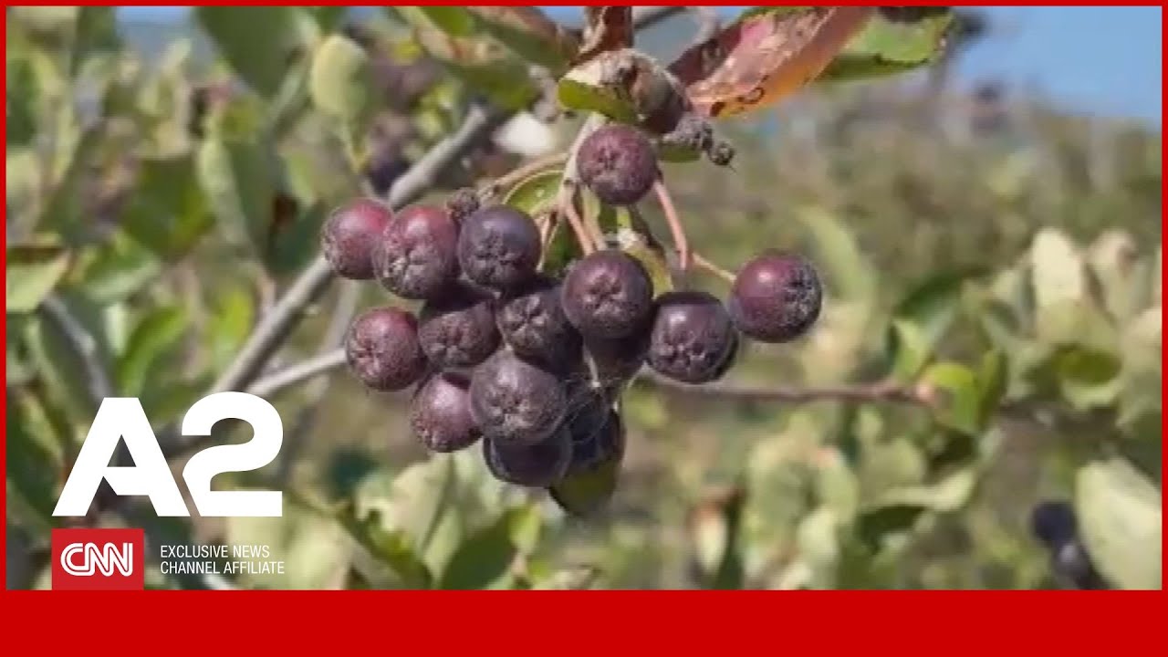 500 milionë lekë për fermerët, miratohet skema kombëtare e investimeve ...