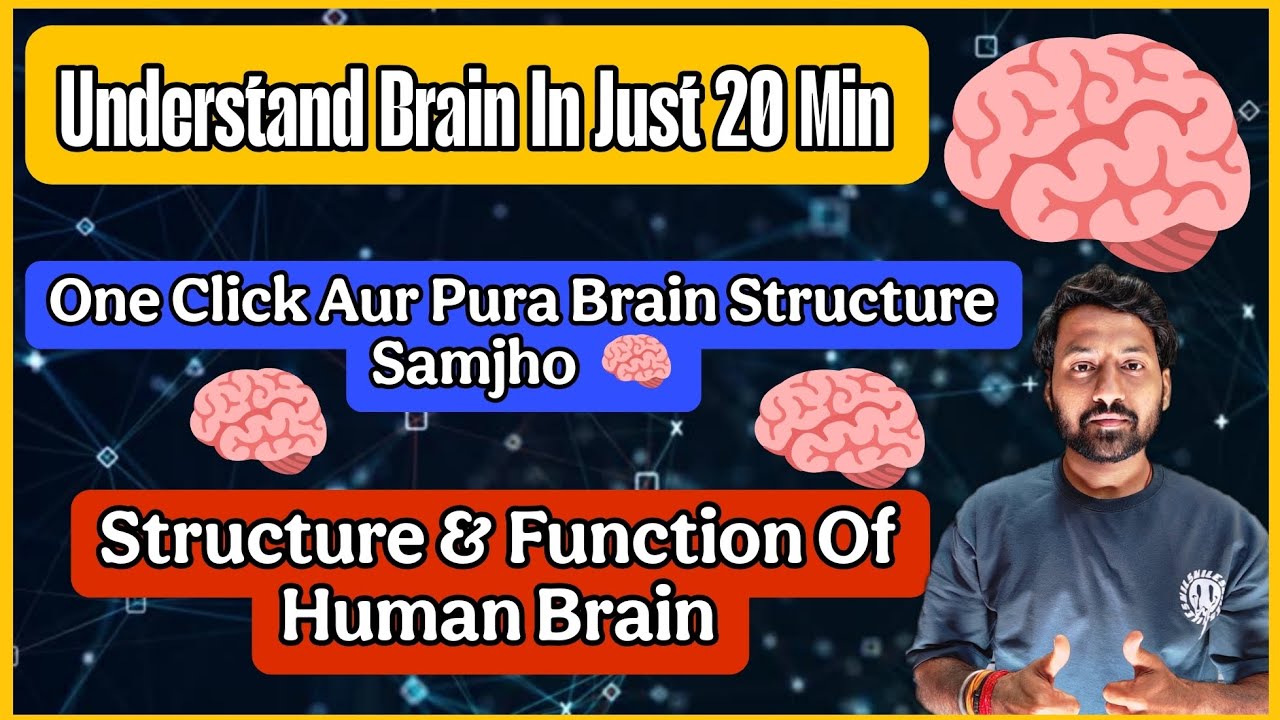 How Human Brain Works? 🧠| Structure & Function of Brain Simplified 🧠 ...