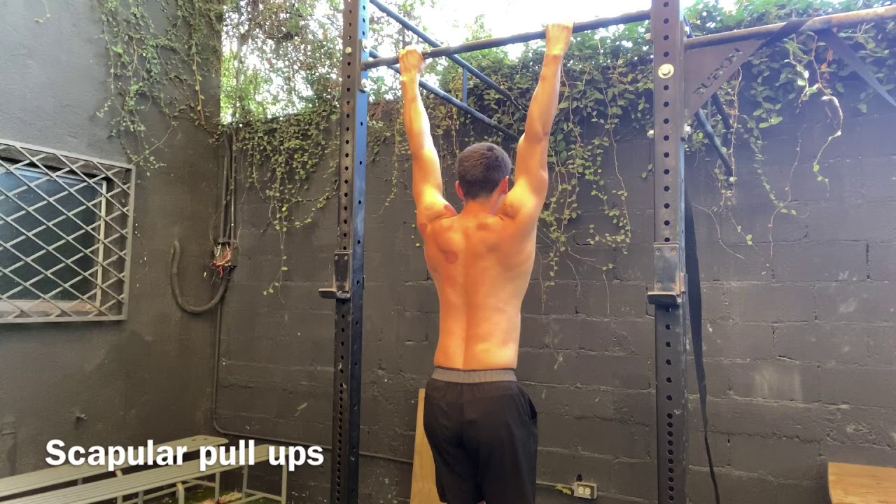 Scapular pull ups - YouTube