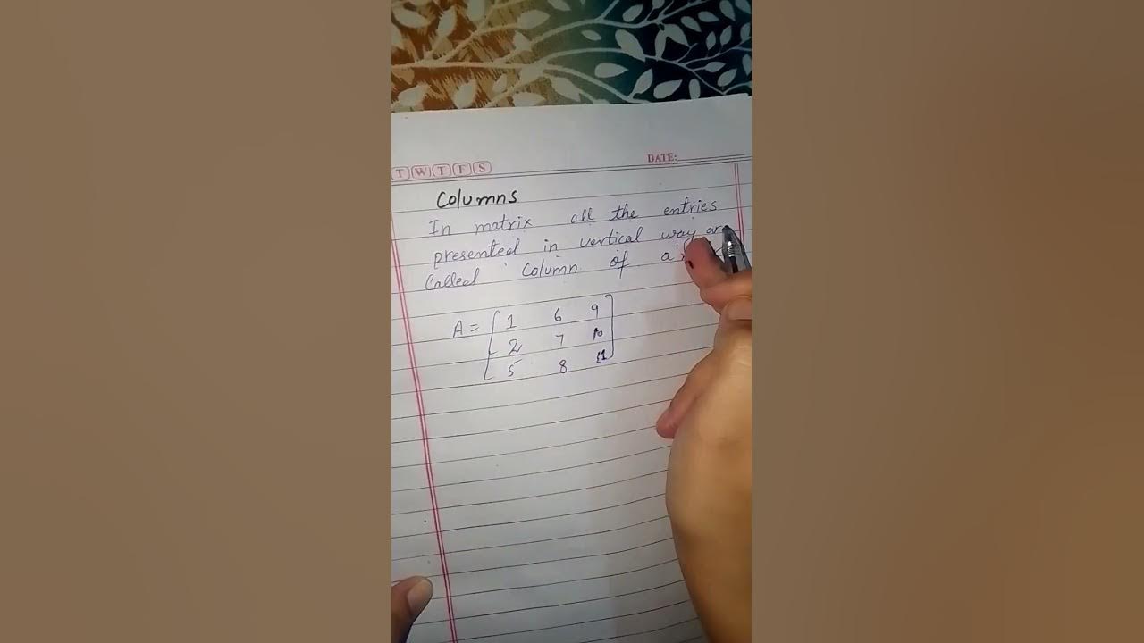 class 9 exercise 1.1 question #1 - YouTube