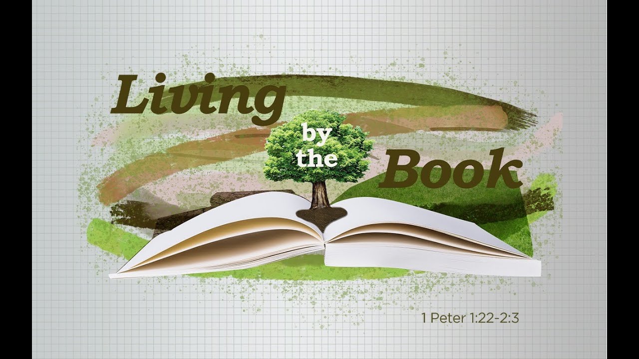Living by the Book | Pastor Tom Fox - YouTube
