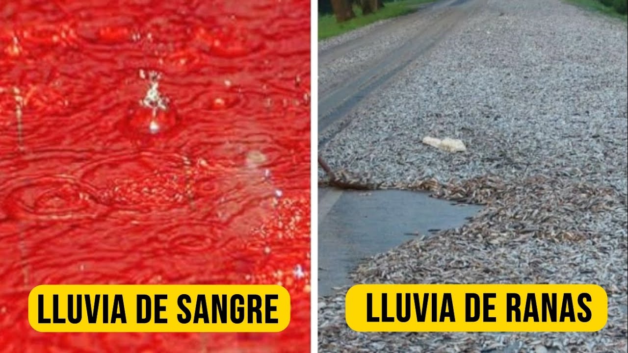 Top 10 cosas raras cayendo del cielo - las cosas más raras que caen del ...