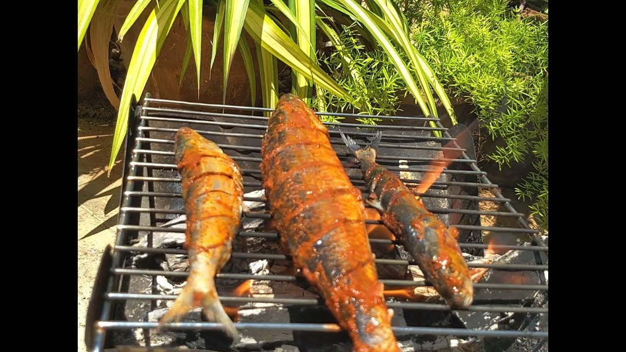 BARBECUE GRILLED FISH FRY - COOKING IN GARDEN - YouTube