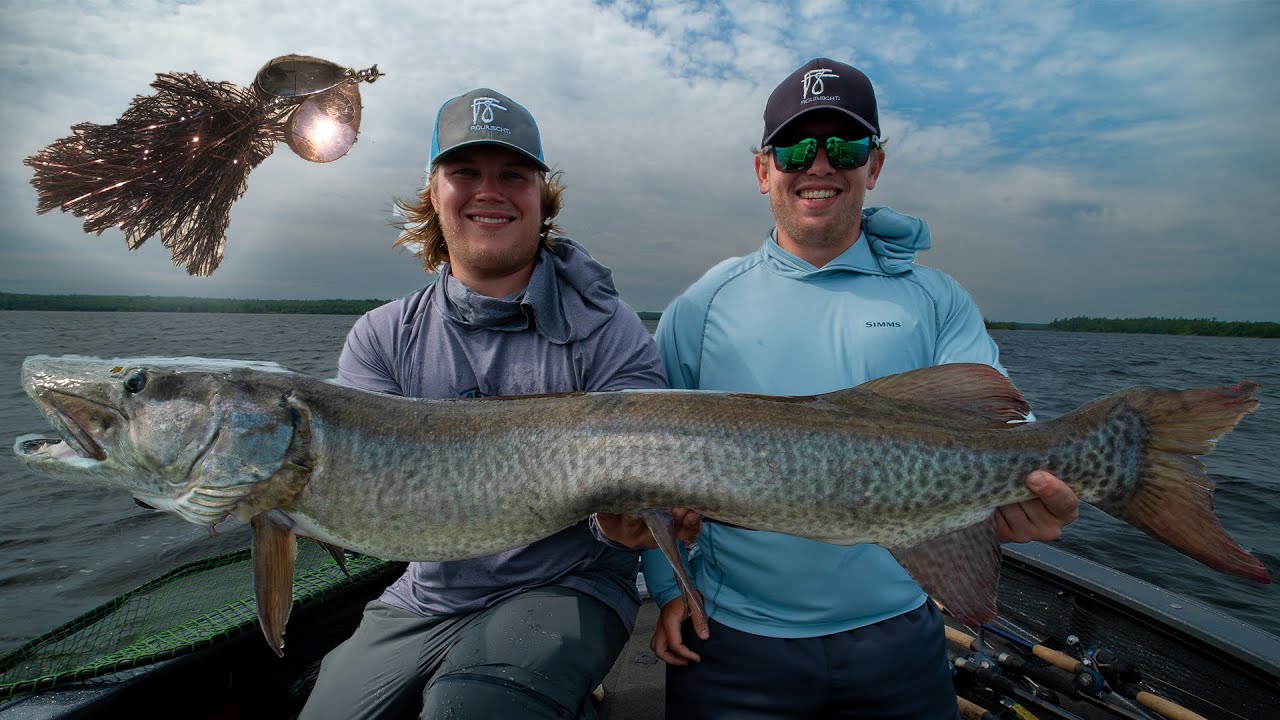 7 MUSKY BITES! (Guiding on LOTW) - YouTube