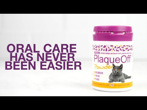 ProDen PlaqueOff® Cat Powder - YouTube