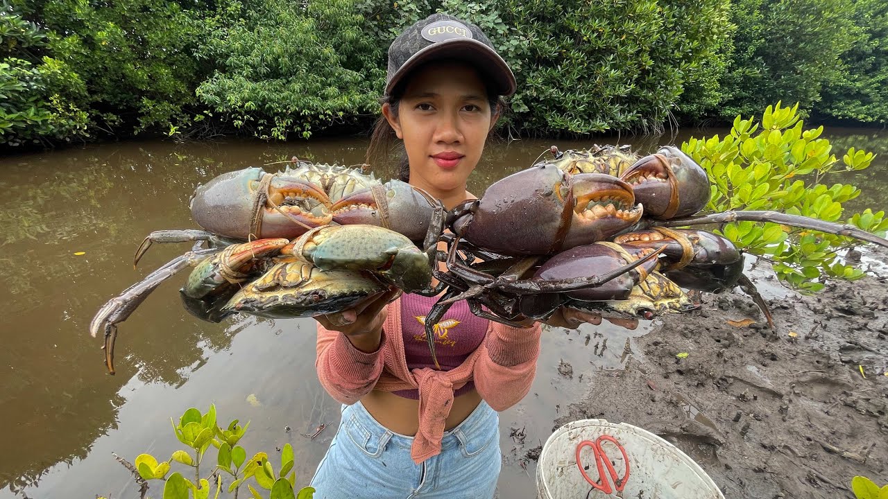 Unique Fishing - Catch Huge Mud Crabs at Swamp after Water Low Tide ...