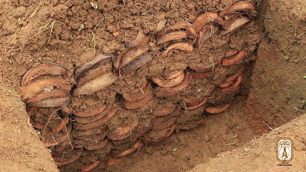 Panshu Haa Thethamana Sanrakshanaya (පාංශු හා තෙතමන සංරක්ෂණය) - YouTube