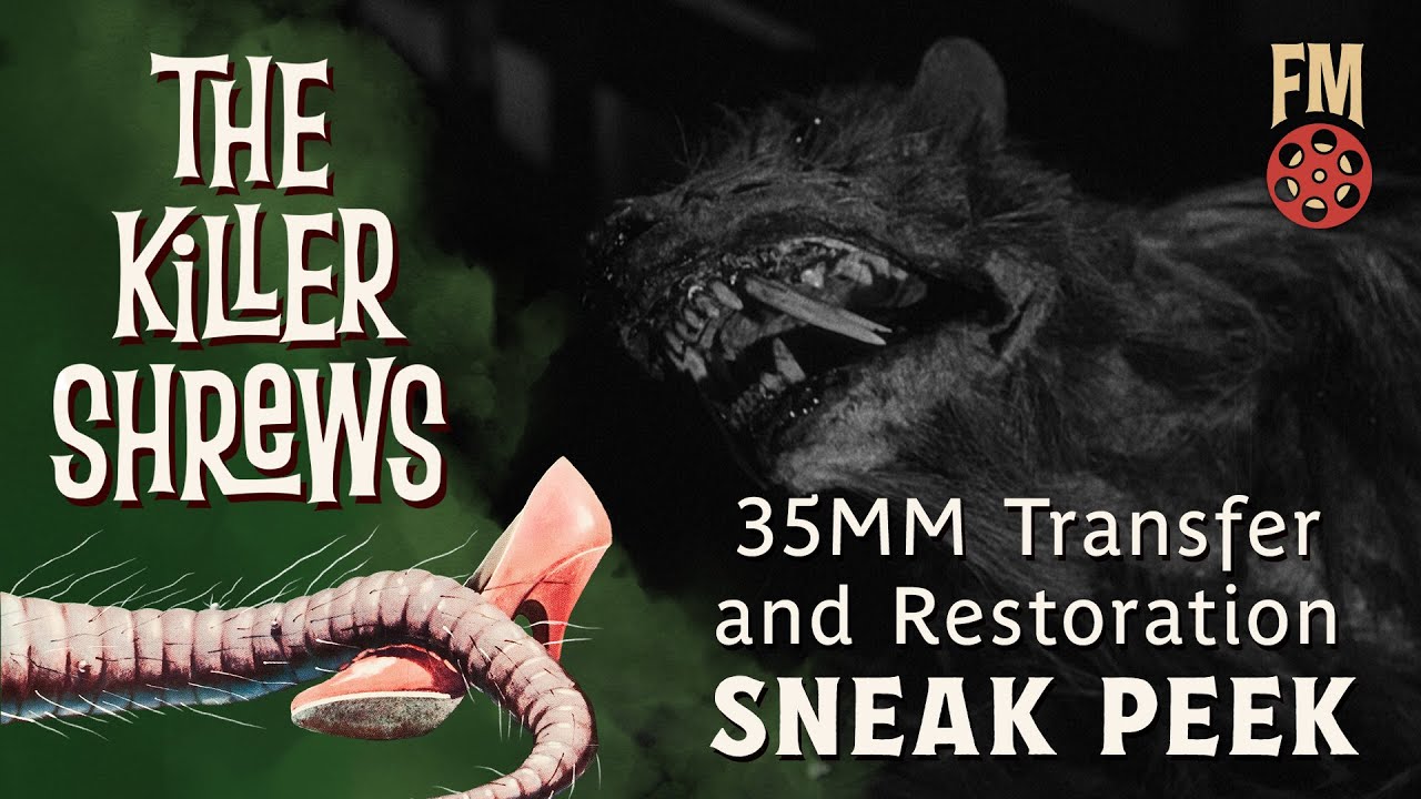 Sneak Peek | The Killer Shrews (1959) | New Transfer and Restoration | HD - YouTube