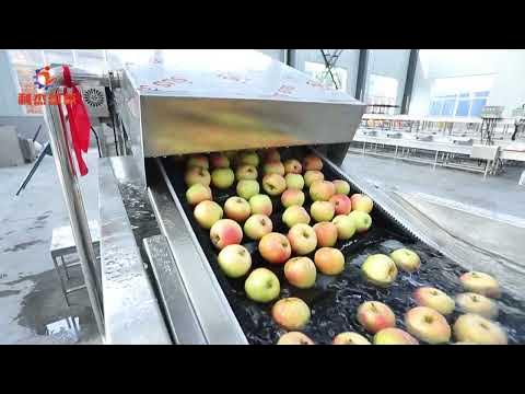 apple sorting machine - YouTube