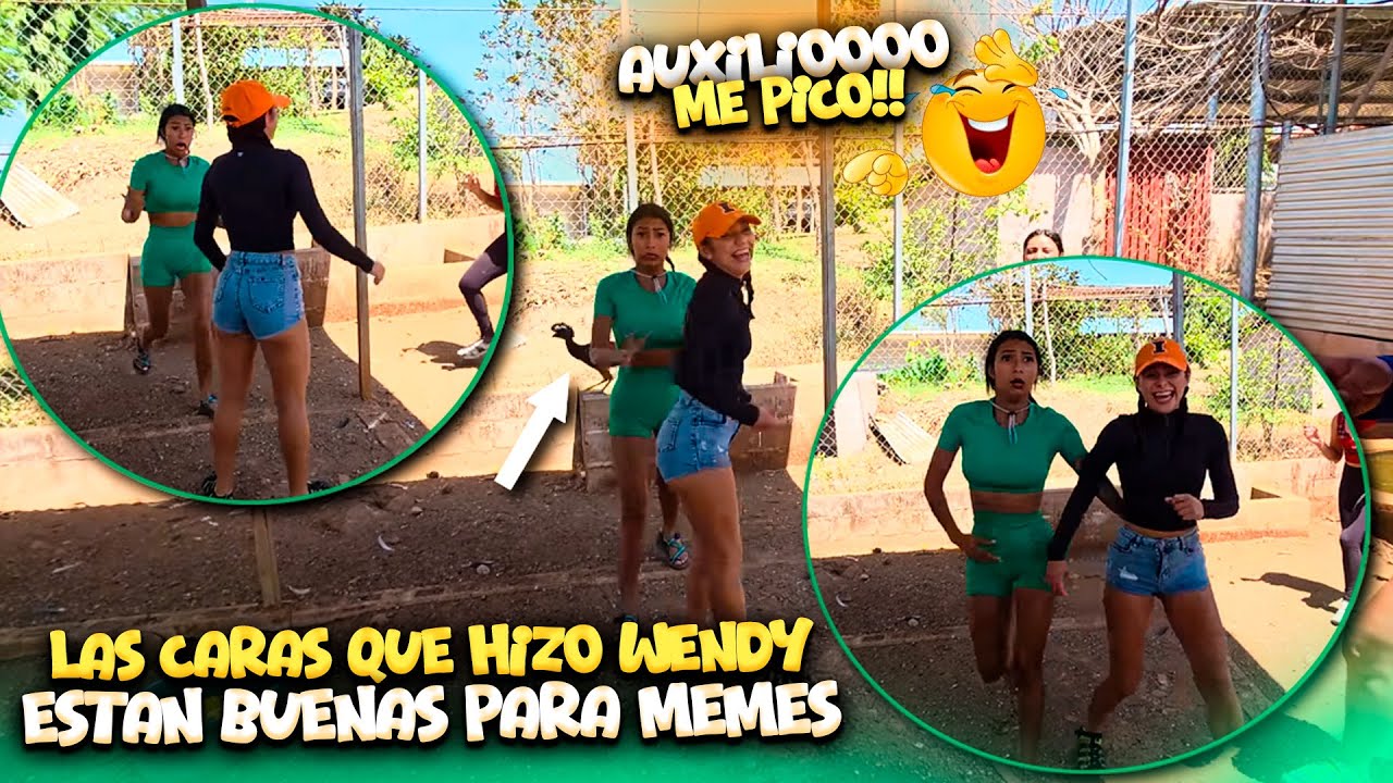 NO PARARAS DE REIR! A Wendy casi la pica un pajuil y vean la carrera ...