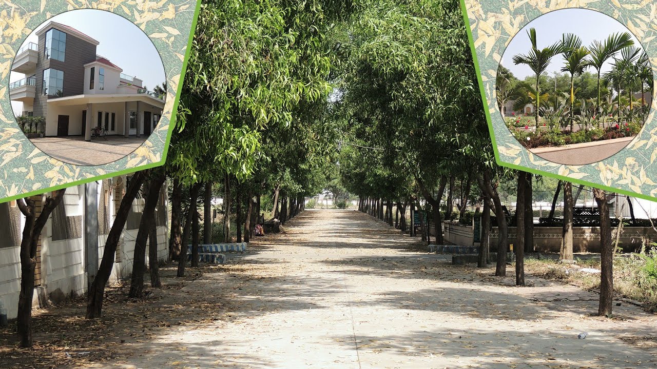 Residential Landscaping - Indore | Devila Landscape - YouTube