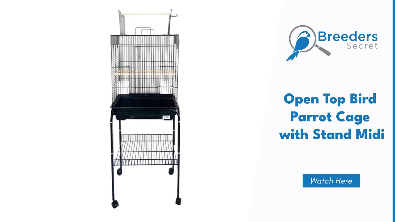 Open Top Bird Parrot Cage with Stand Midi | Breeders Secret Bird ...