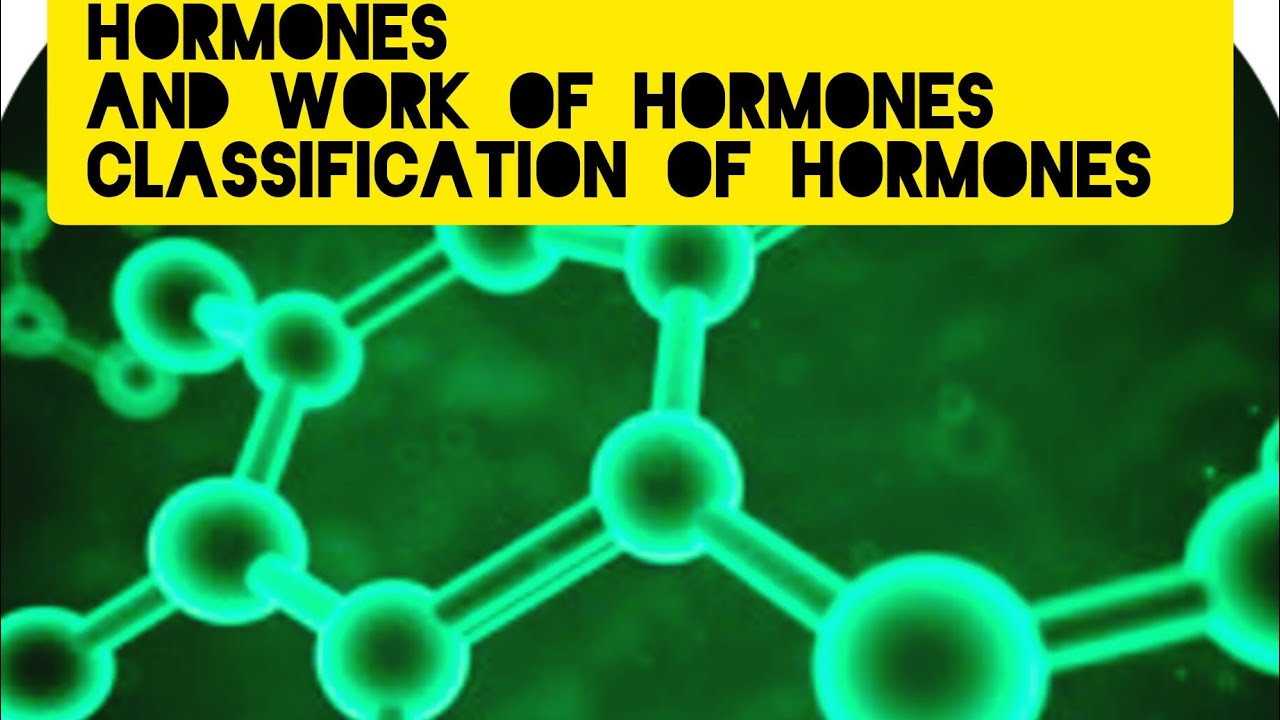 hormones of human body & how work of hormones and classification of ...