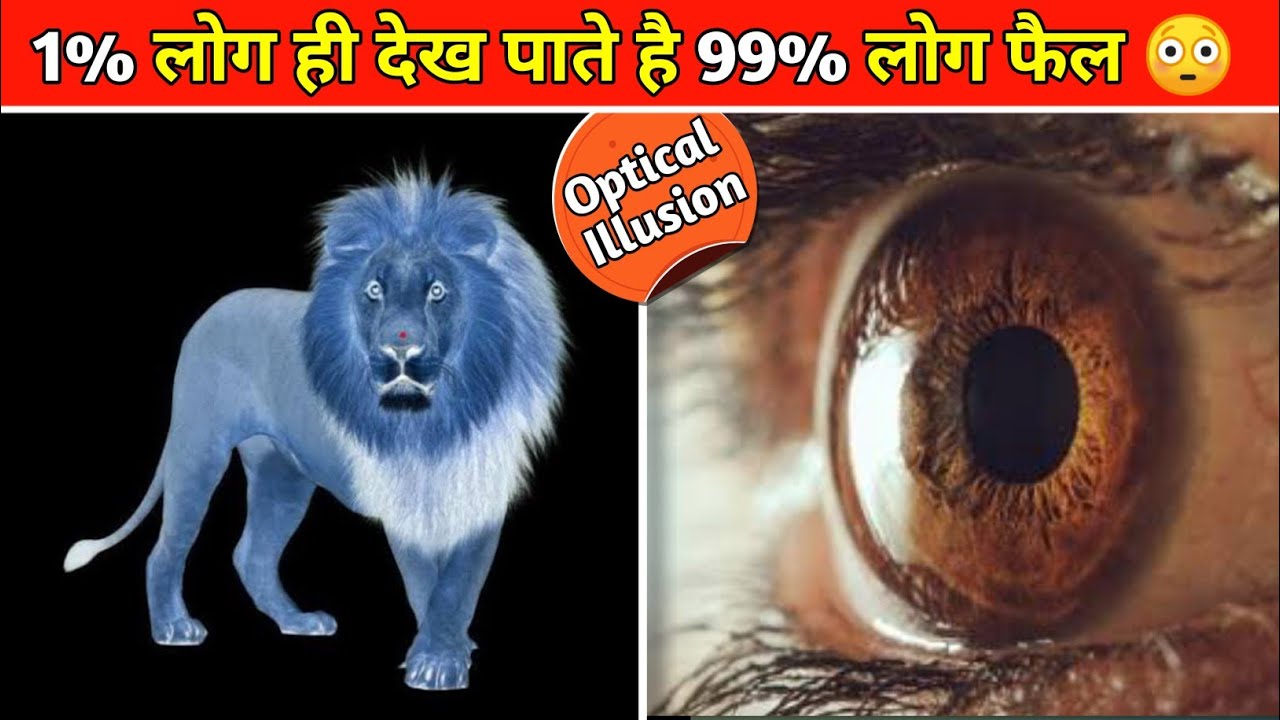 Lion का Illusion | optical illusion #illusion #illusionvideo #short # ...