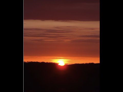 Critical Thinking & Disinformation -Matt Foraker, Ph. D.- - YouTube