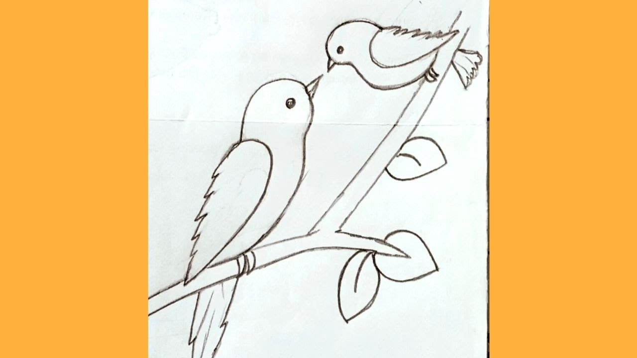 How to draw love birds step by step/Love Birds Drawing Easy - YouTube