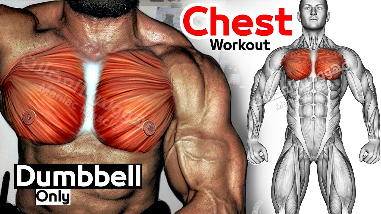DUMBBELL Chest Exercises Workouts - Massive - YouTube