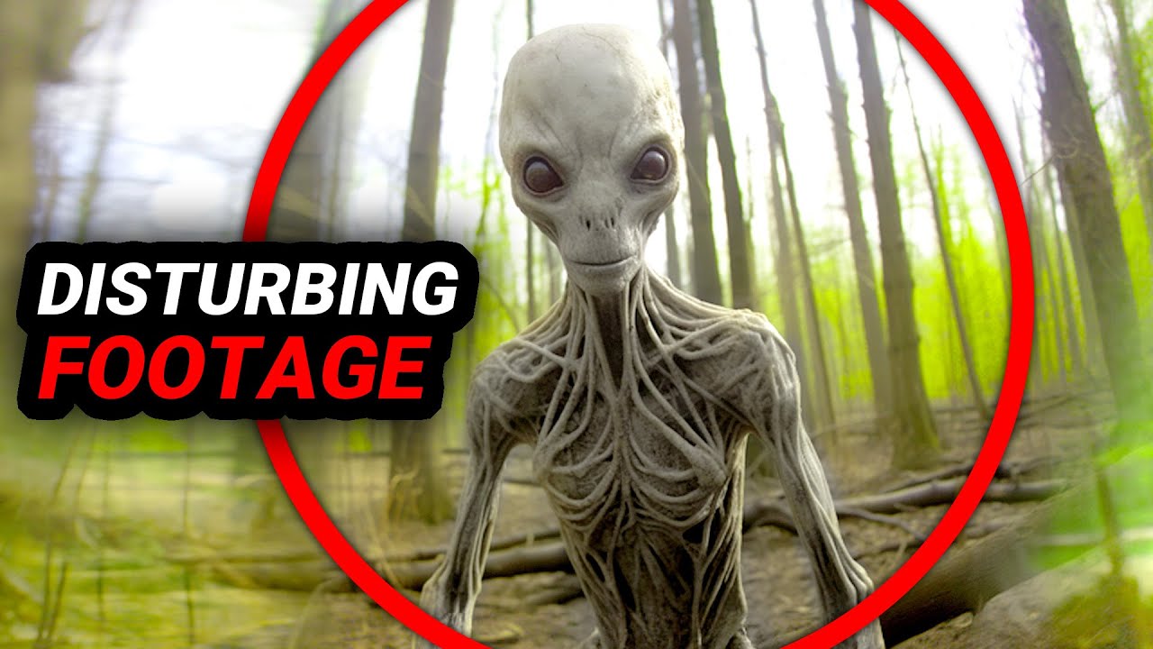 Mega Compilation of New Disturbing Trail Cam Footage - YouTube
