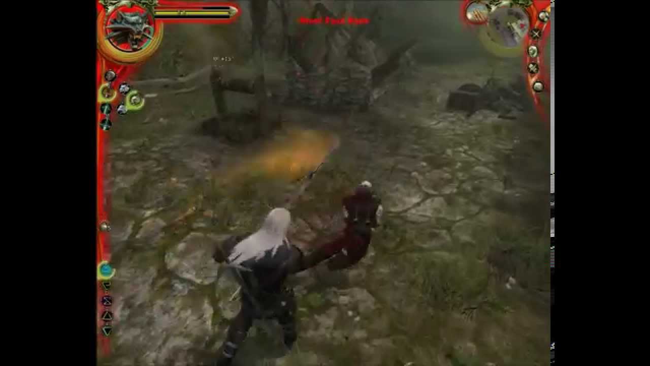 The witcher enhanced edition combat - irbopqe