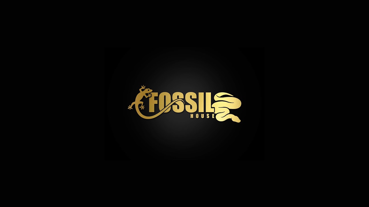การถ่ายทอดสดของ Fossil House Lopburi - YouTube