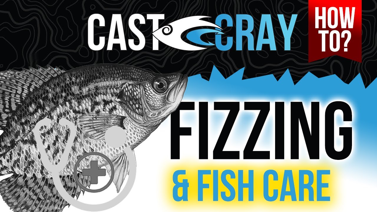 Cast Cray How To - Fizz Fish & Fish Care - YouTube