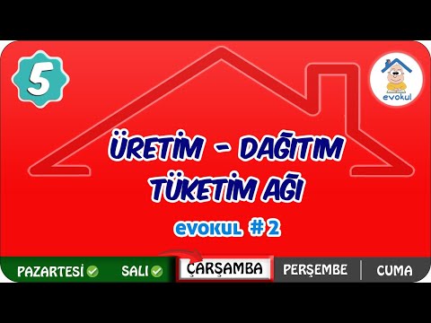 Üretim- Dağıtım Tüketim Ağı | 5.Sınıf #uzaktanegitim #evokul Kampı