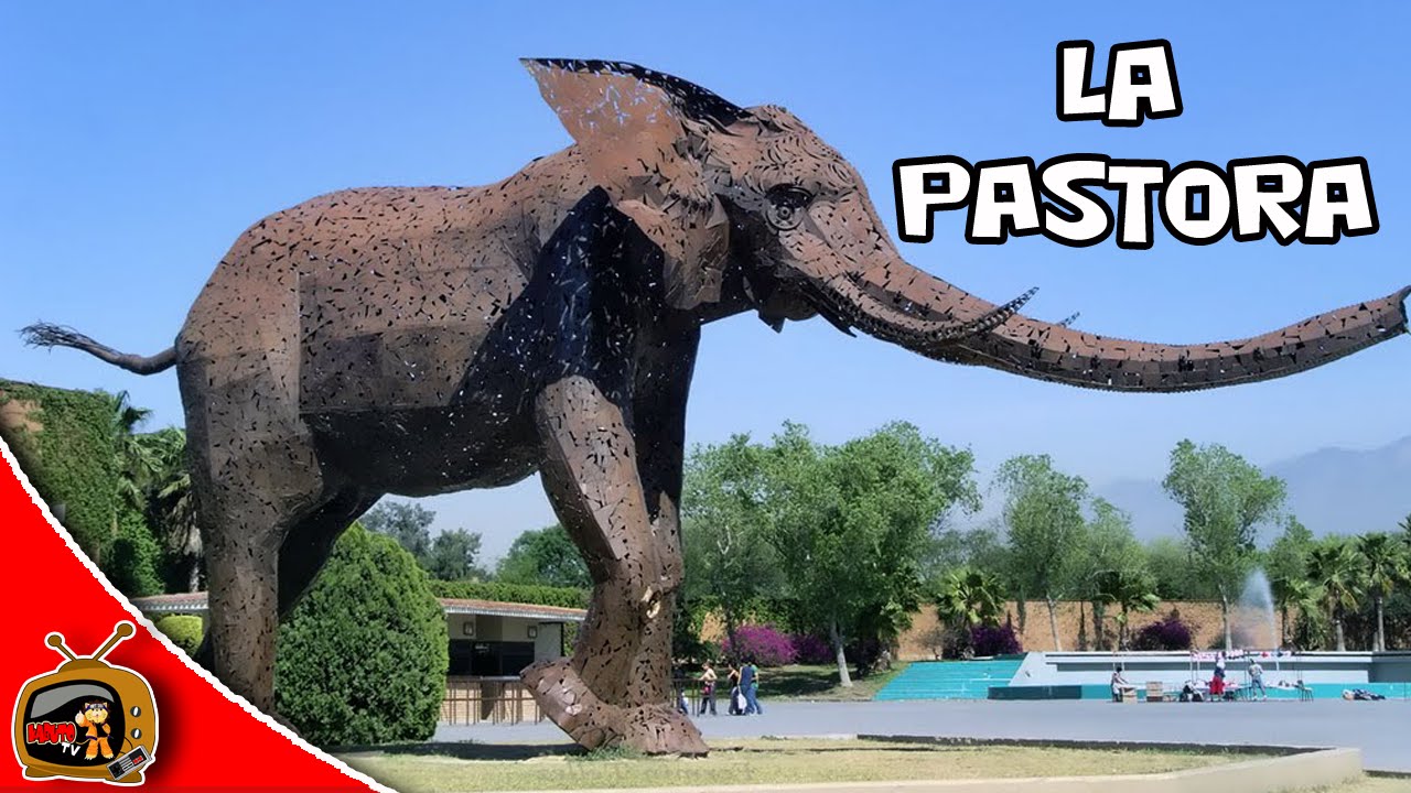 Monterrey Vlog #02 La Pastora l Kabuto TV - YouTube
