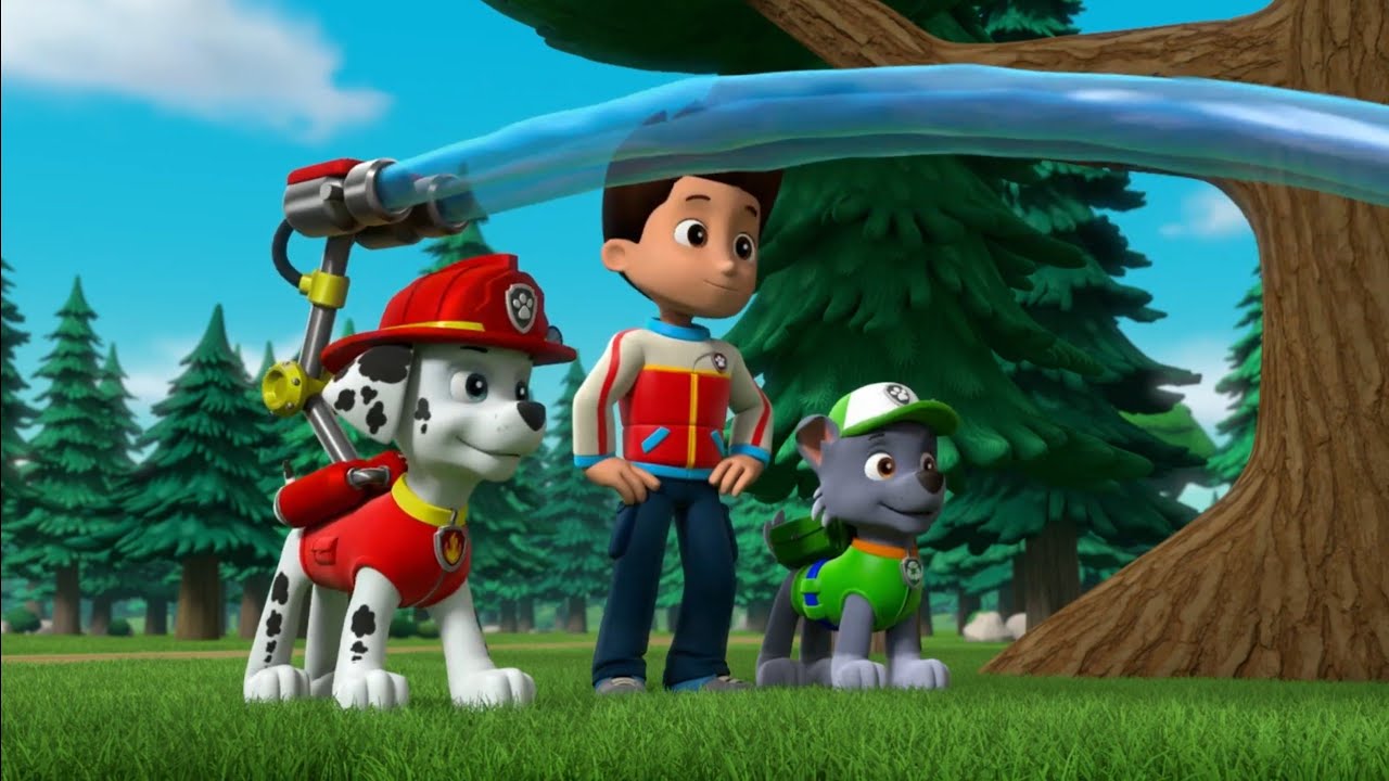 Pa Patrol PAW Patrol On a Roll - All Mighty Pups Rescue Missions ...