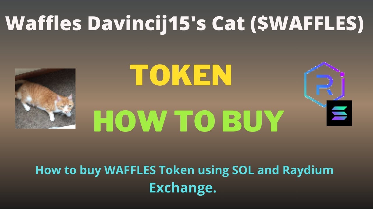 How to Buy Waffles Davincij15's Cat (WAFFLES) Token Using Raydium ...