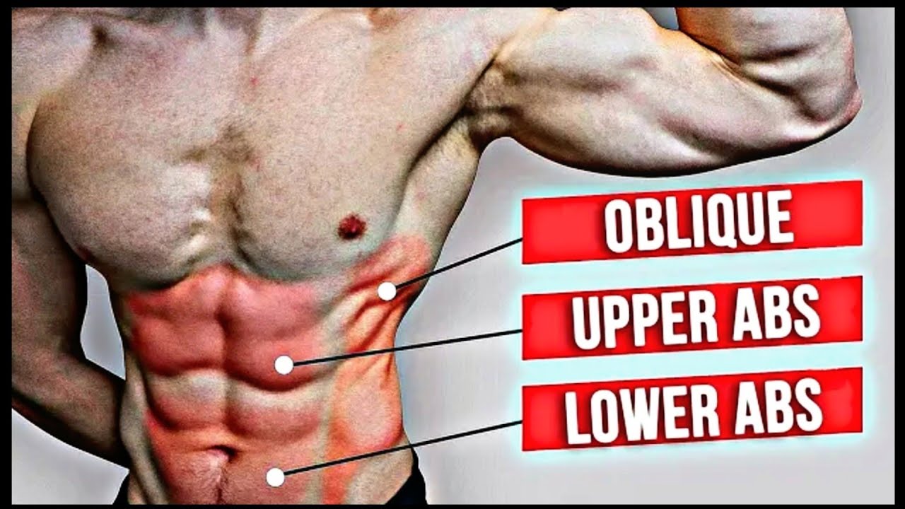 Complete 8 Min ABS Workout (From Home) - YouTube