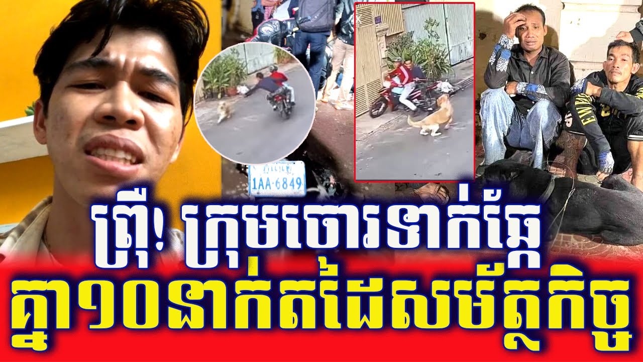Horrible! Mr Sovann Rithy Show Activities Dog Thieves, There're 10 ...