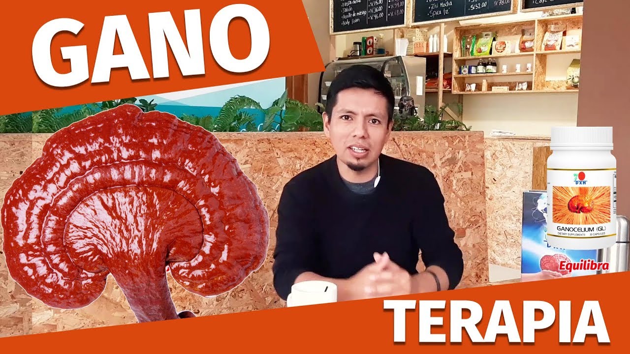 🍄 GANO - TERAPIA: Que tu cuerpo sea tu mejor Doctor 💪🏽[Ganoterapia DXN ...