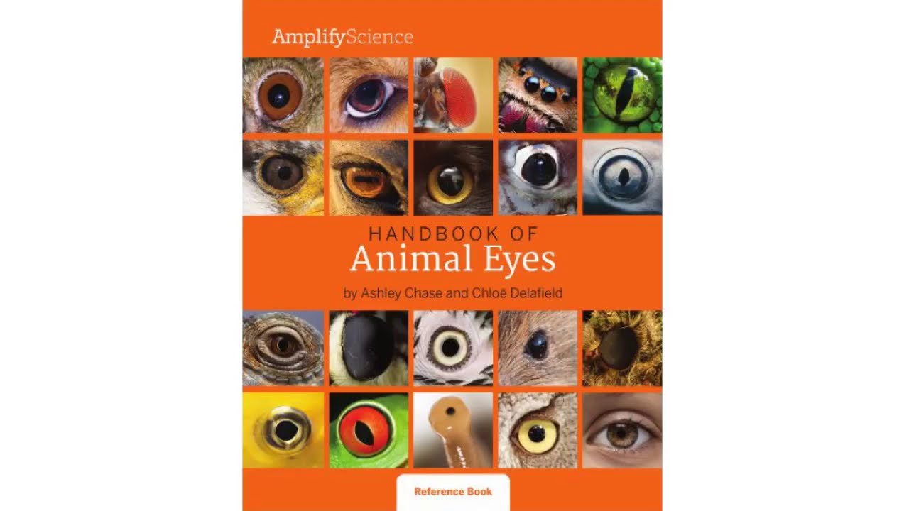Handbook of Animal Eyes Book - YouTube
