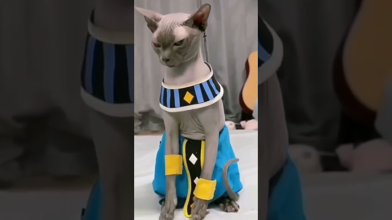 lord berus in real life 👁️👄👁️👄👁️ #short #100k #100k #1million # ...