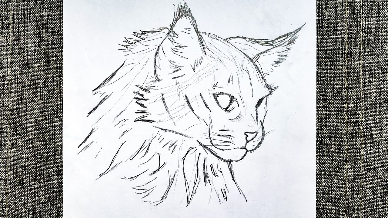 How to Draw a Cat Step by Step / Easy Drawing Tutorials - YouTube