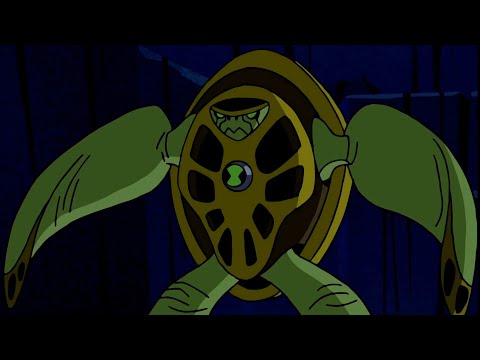 TERRASPIN - THE WIND🐢🌪